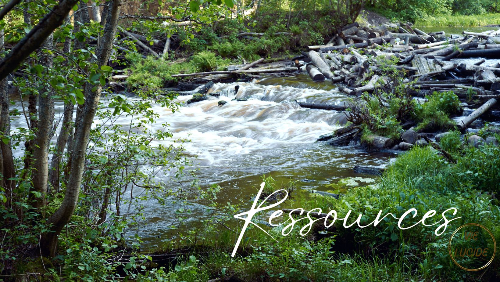 Ressources - Lucide avec Tekla